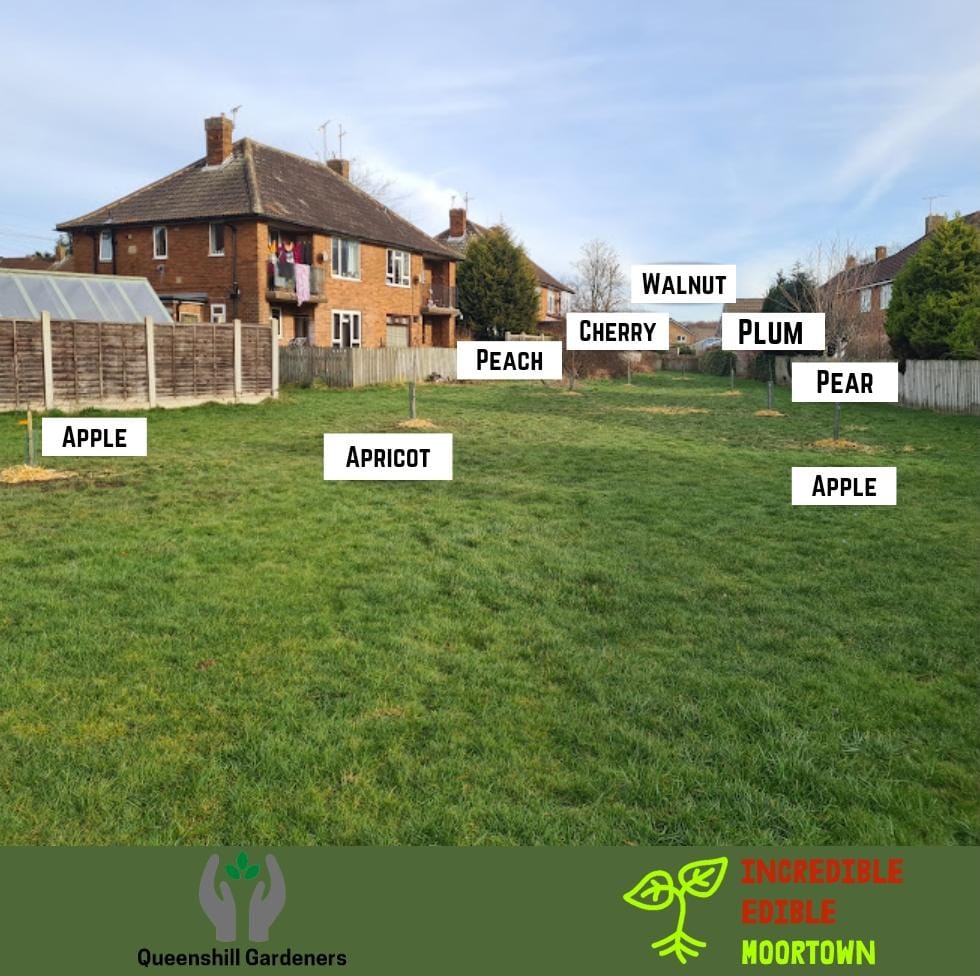 Moortown Queenshill Estate Orchard – Incredible Edible Leeds