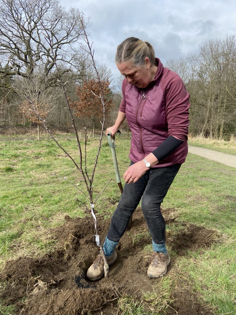 Meanwood Park Fruit Trees – Incredible Edible Leeds