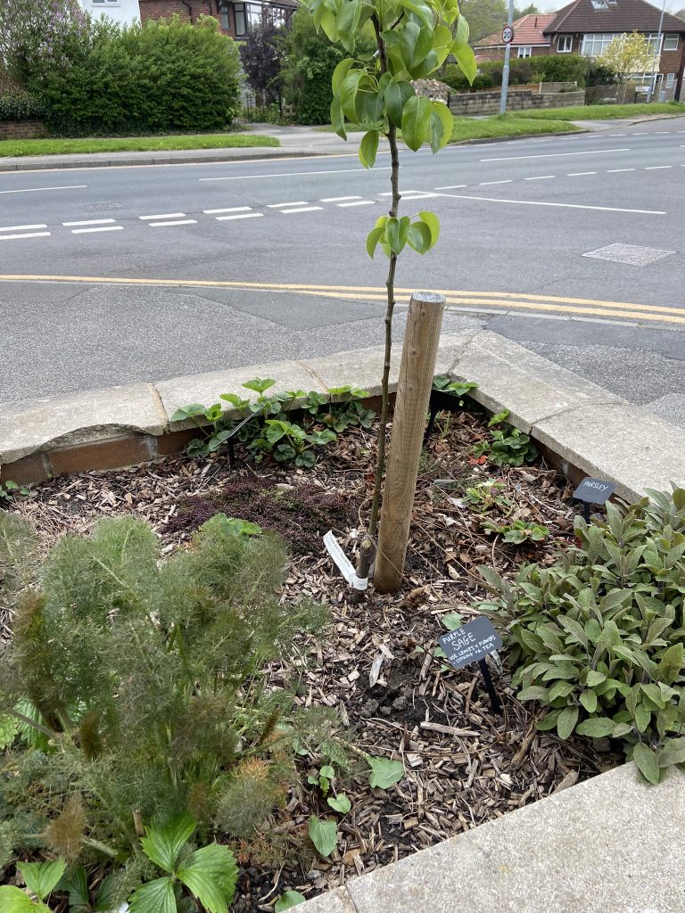 Meanwood Precinct beds – Incredible Edible Leeds