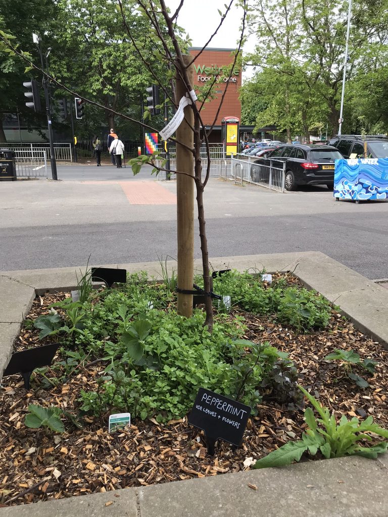 Meanwood Precinct beds – Incredible Edible Leeds